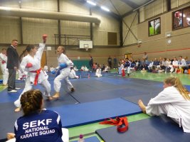 News - SEKF Inter-Club Results - Freestyle Combat Karate