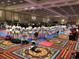 News - Carla competes in the USA Open - Freestyle Combat Karate
