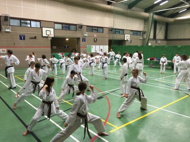 News - Advanced Kata Course - Freestyle Combat Karate